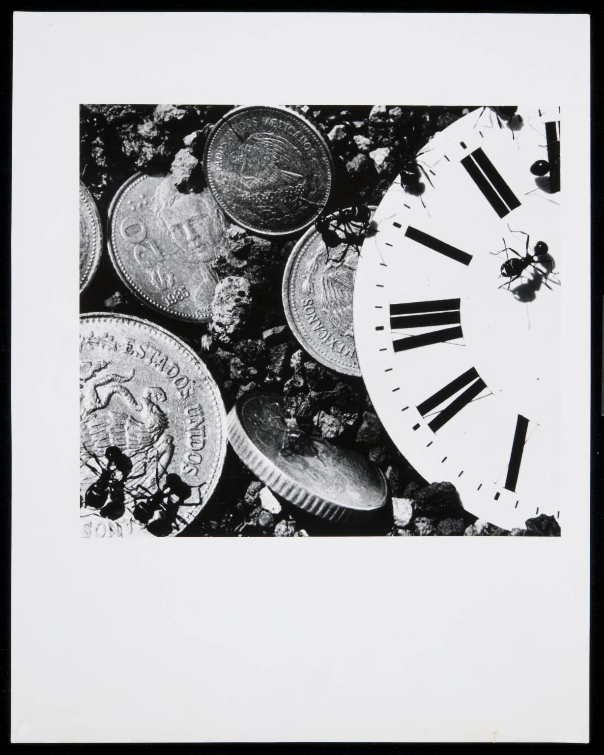 Explore Art | The David Wojnarowicz Foundation