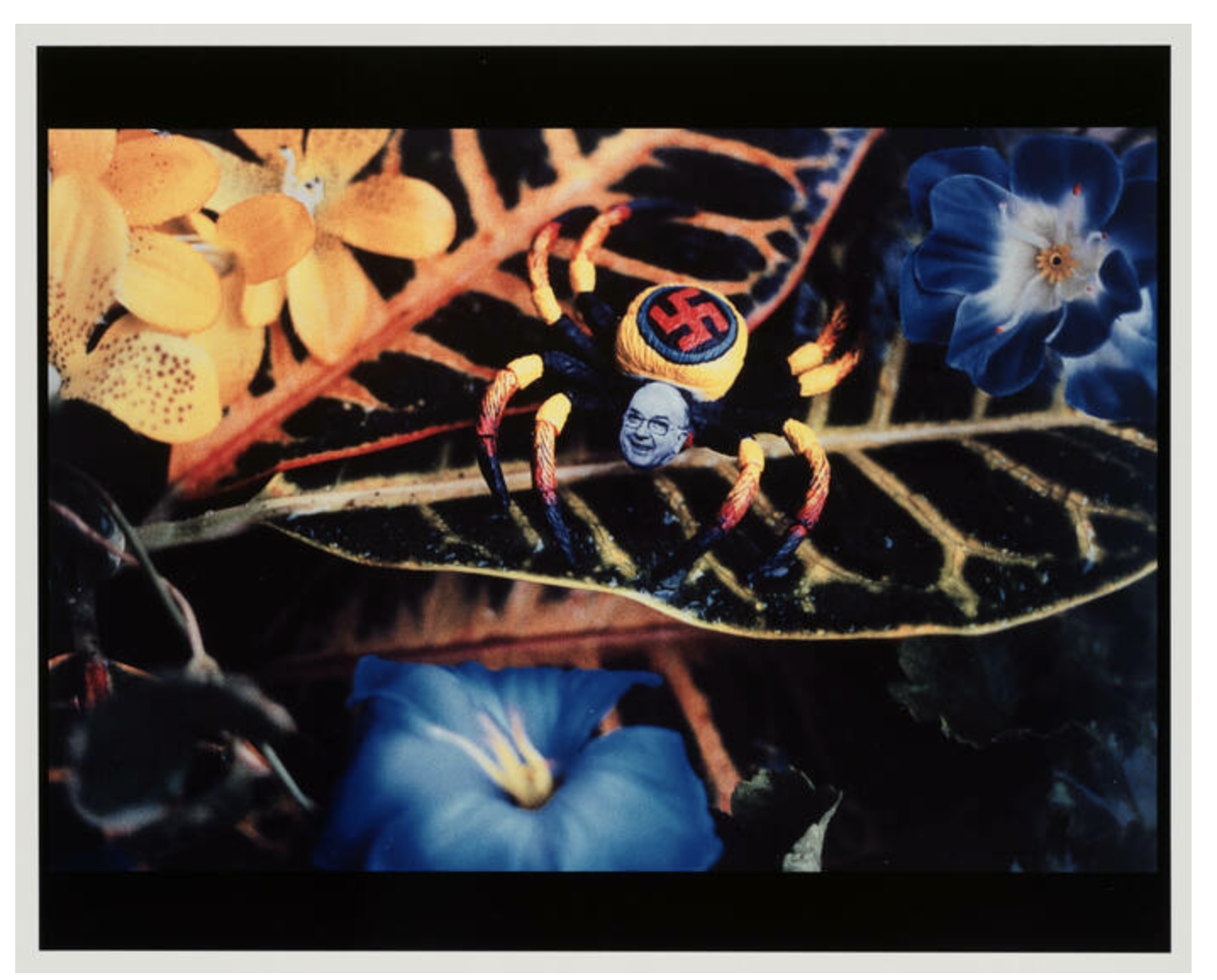 Explore Art | The David Wojnarowicz Foundation